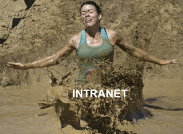 How to Create an Intranet: A Step-by-Step Guide | Staffbase